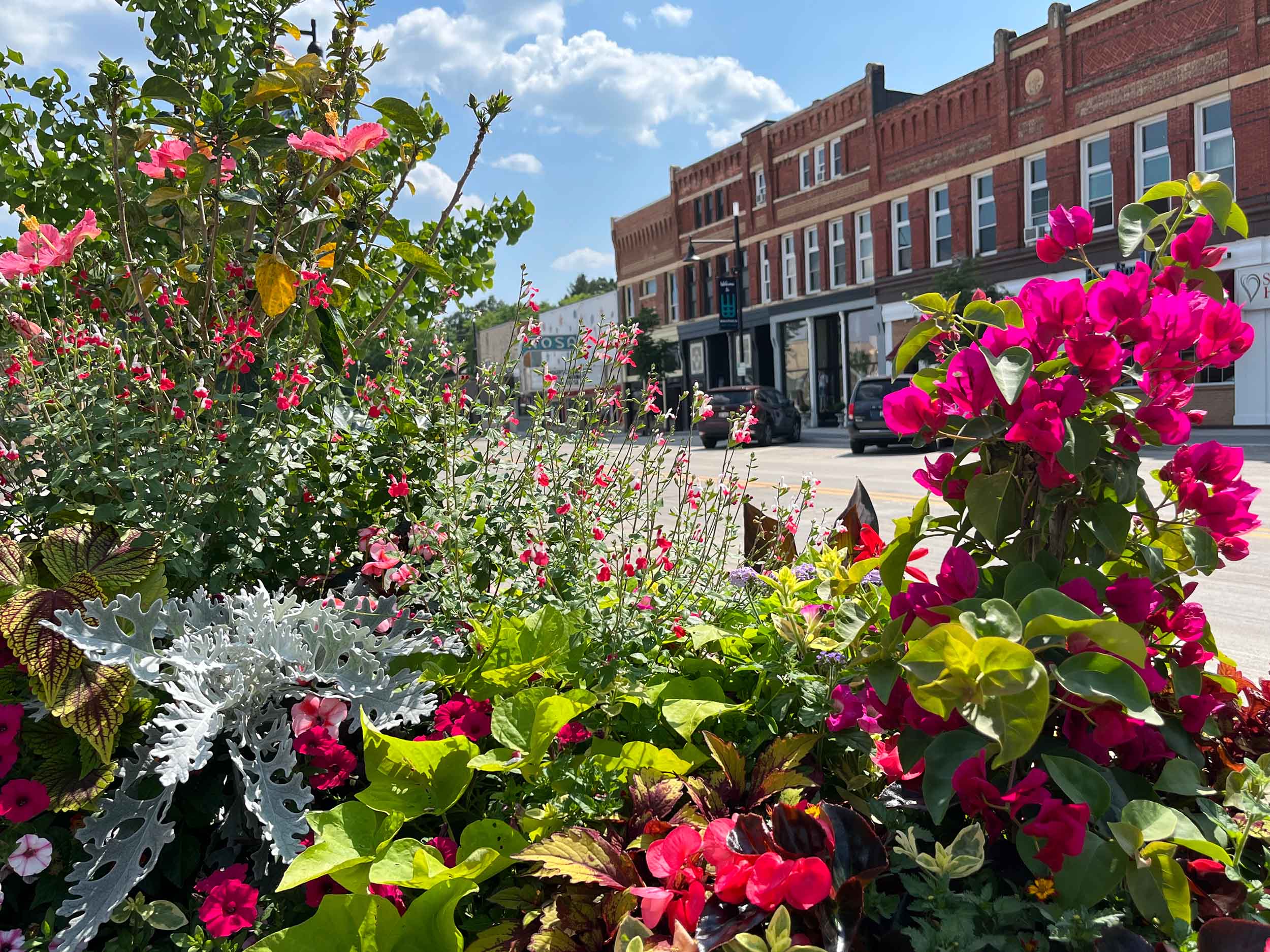summer2 – City of Waupaca, WI